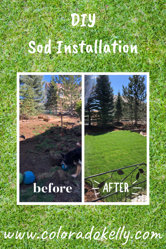 DIY Sod Installation | Colorado Kelly
